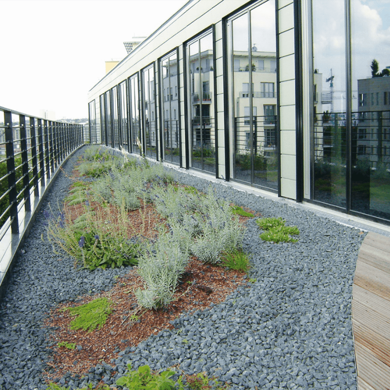 ACO BuildLine - external building drainage for thresholds and green roofs